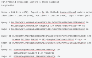 タンパク質一次構造による相同性検索：BLASTのインストール | Hira Labo