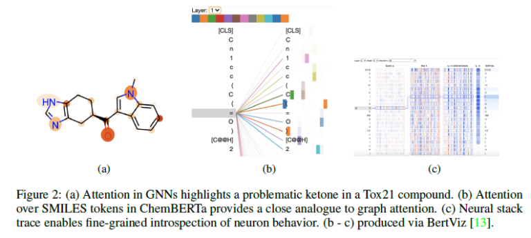 ChemBERTa（分子の言語モデル）の紹介 | Hira Labo
