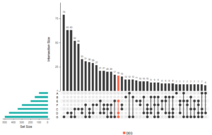 Rでアップセット図（UpSet図） ーUpSetR, 集合の関係性を示す, サンプル数が多い場合におススメー | Hira Labo